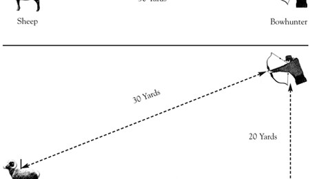 Science of Archery: Physics of the Bow and Arrow – Northwoods Bowmens ...