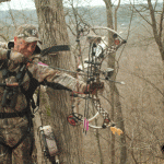 Science of Archery: Physics of the Bow and Arrow